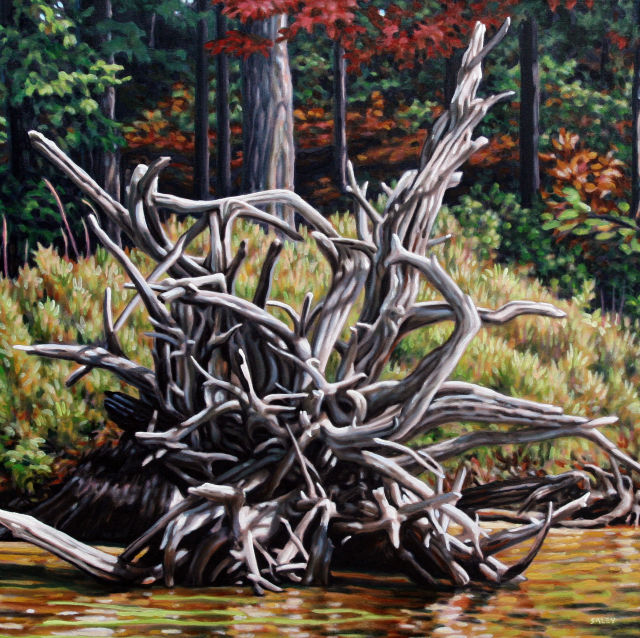 Gallery · The Art of Rob Saley